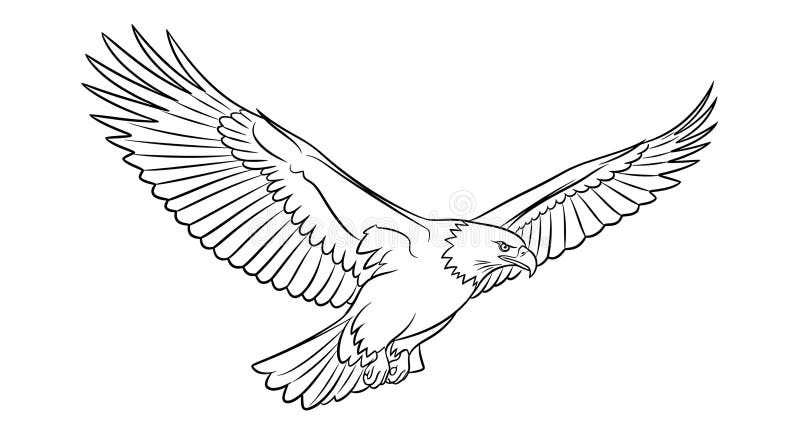 Detailed Eagle Illustration in Black and White with Tribal Pattern ...