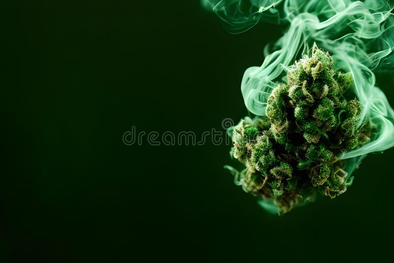 Captivating Cannabis - a Visual Journey into the World of Marijuana ...