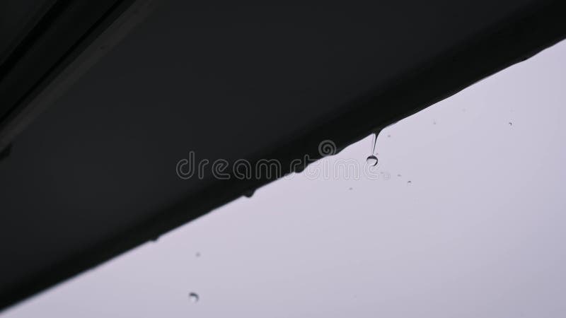 Falling Raindrops Close Up stock footage. Video of light - 328844304