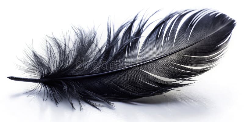A Captivating Closeup of a Raven Feather Detailed Texture and Subtle ...