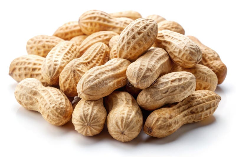 Premium Studio Collection of Isolated Peanuts Full Depth of Field ...