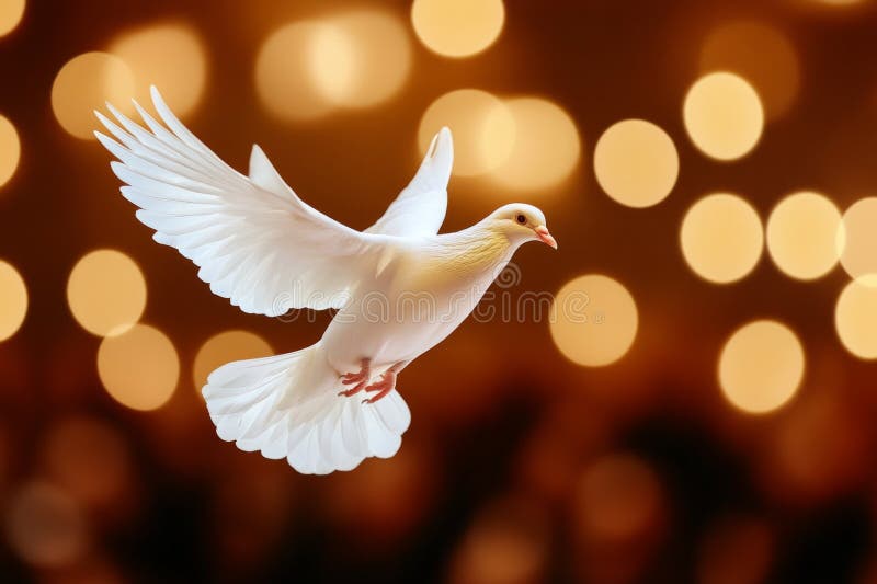 Magician Performing a Stunning Act of Making a White Dove Disappear ...