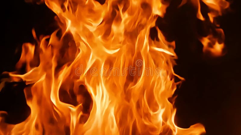 Captivating Flames Dance Against a Dark Backdrop in an Energetic Fire ...