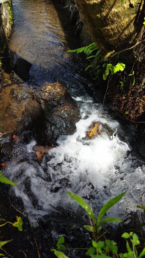 Captivating Flow Irrigation Stream in a Village Stock Image - Image of ...
