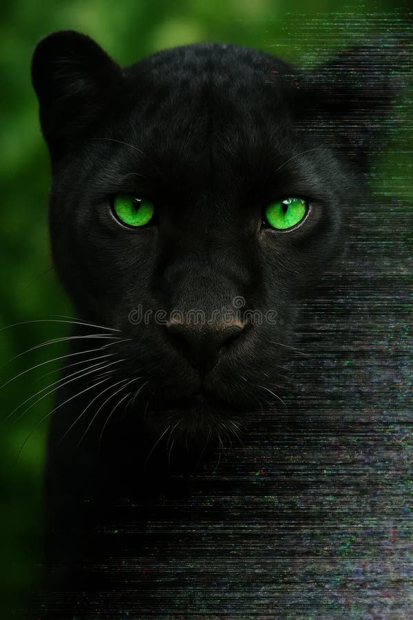 A Captivating Glimpse into the Mysterious World of Black Panthers ...