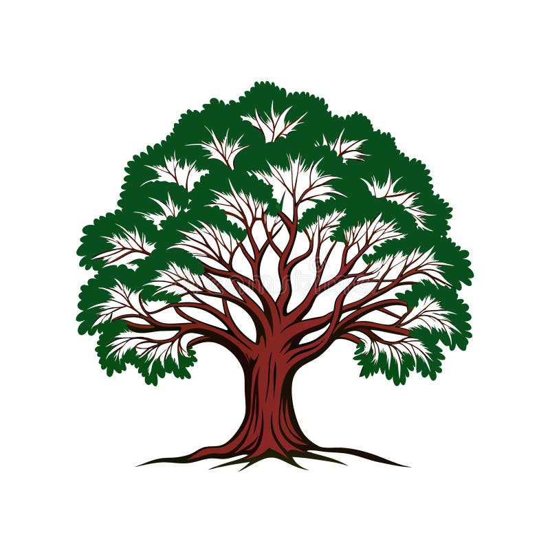 Captivating Hackberry Tree Illustration Stock Photo - Illustration of ...