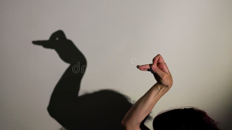 Captivating Hand Shadow Puppet Show Performance Displayed on Wall Stock ...