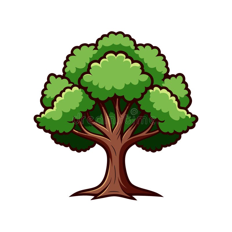 Bold Bur Oak Tree Illustration on White Background Stock Illustration ...