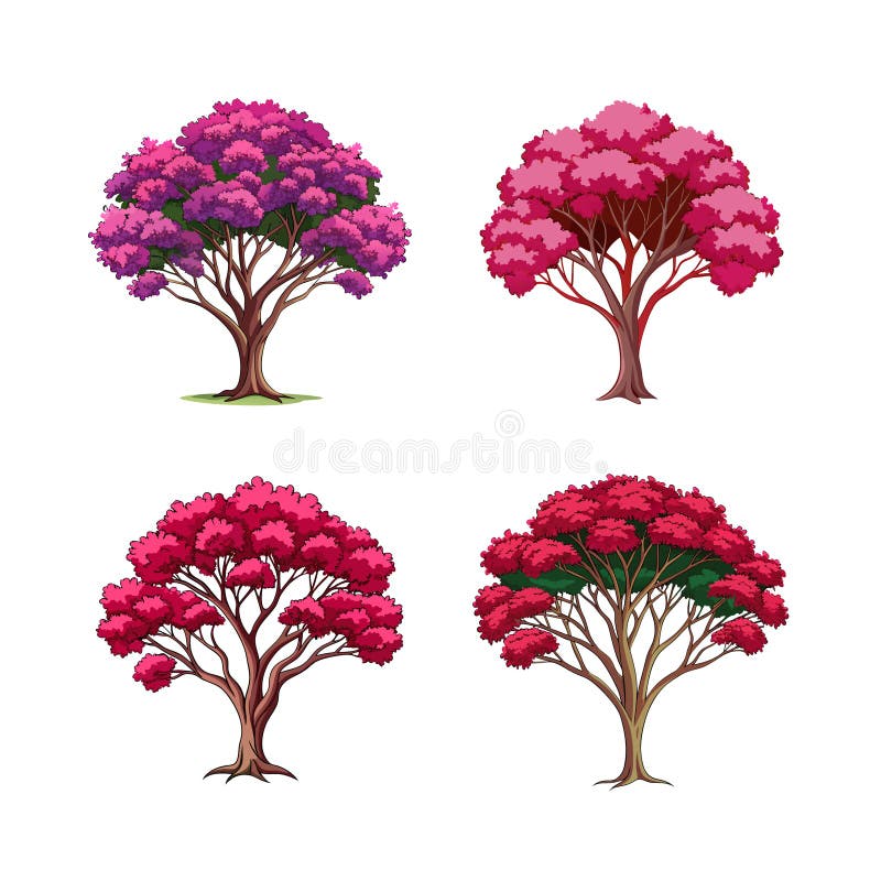 Bold Crape Myrtle Tree Illustration on White Background Stock Vector ...