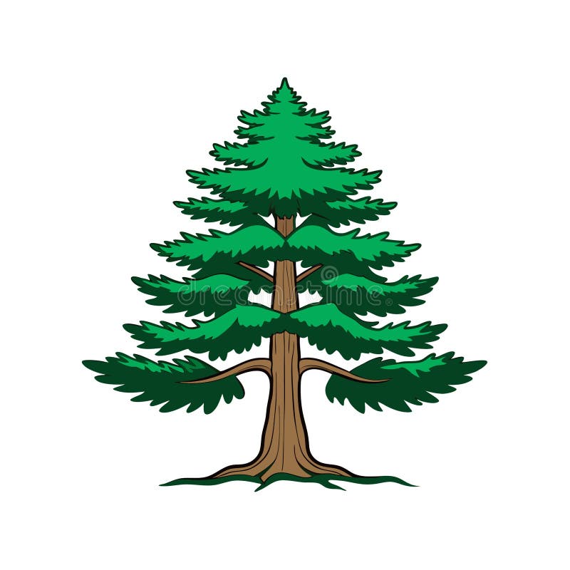 Captivating Deodar Cedar Tree Illustration Stock Image - Illustration ...