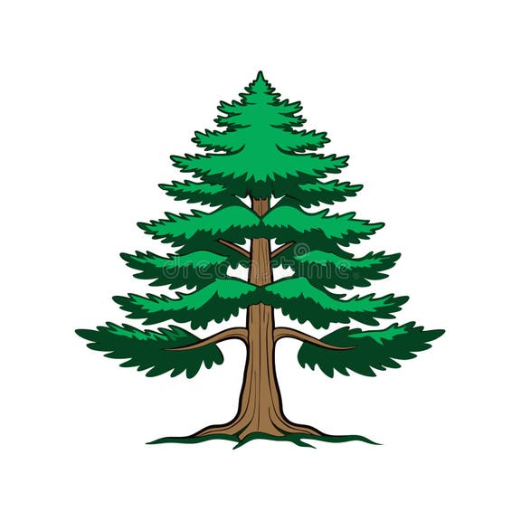 Deodar Tree Stock Illustrations – 53 Deodar Tree Stock Illustrations ...