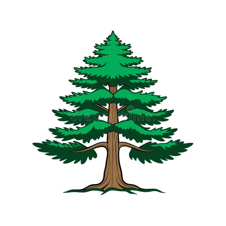 Deodar Tree Stock Illustrations – 53 Deodar Tree Stock Illustrations ...