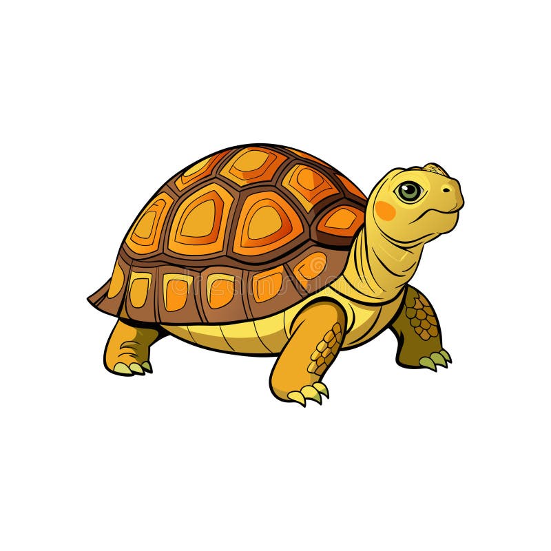 Realistic Eastern Box Turtle Nature Artwork Stock Illustration ...