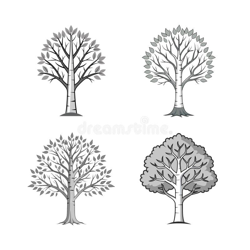 Bold Gray Birch Tree Illustration on White Background Stock Vector ...