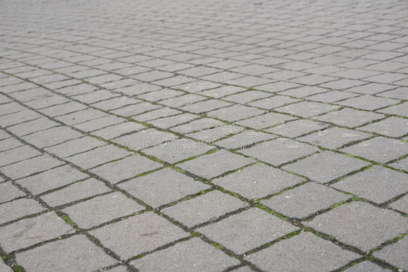 A Beautifully Textured Cobblestone Pavement, Adorned with Vibrant ...
