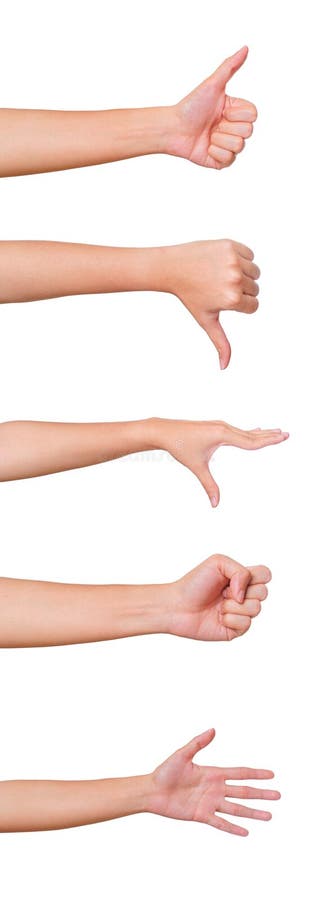 Diverse Hand Gestures Representing Various Emotions and Reactions ...