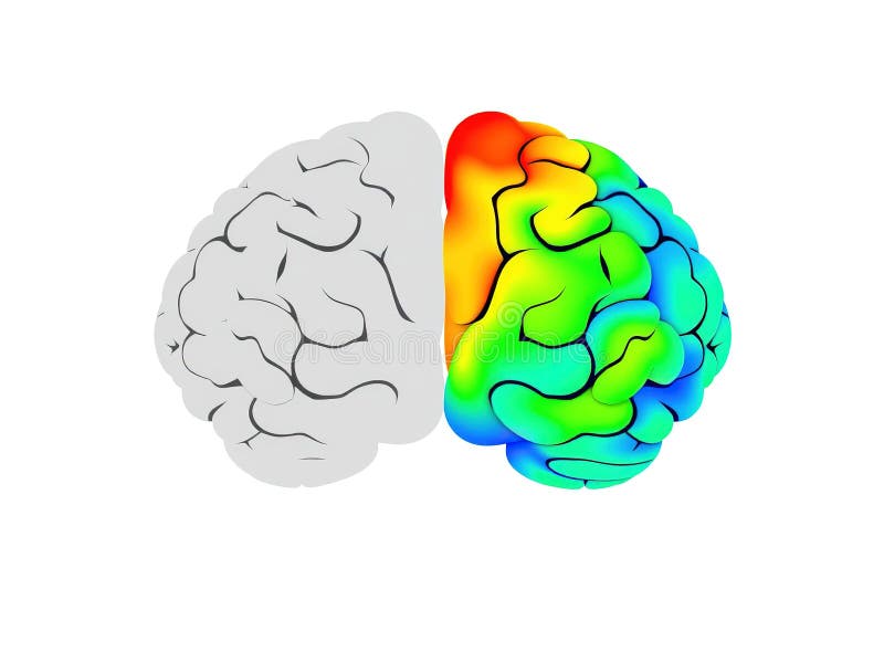 Unveiling the Divided Brain a Visual Exploration of Contrast between ...