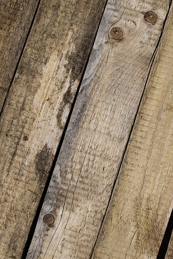 A Captivating Image of Weathered Pine Planks Neatly Aligned in Rows ...