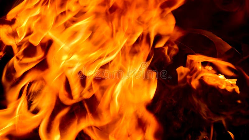 Kindle Fire 2019 Wallpaper Stock Photos - Free & Royalty-Free Stock ...