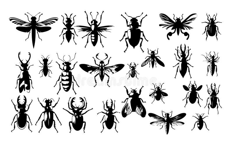 Insect Vector Art Illustration Stock Vector - Illustration of digital ...