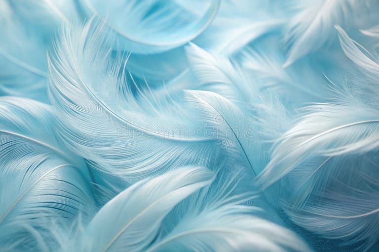 Captivating Light Blue Feather Pattern a Stunning Long Exposure Design ...
