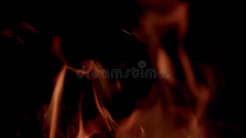 Captivating and Mesmerizing Flames are Dancing Gracefully in the ...