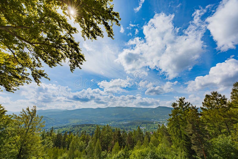 Captivating Mountain Vista Overlooking Lush Forest Landscape Stock ...