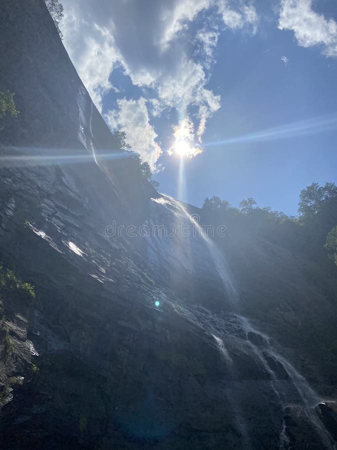 Captivating Sun and Cloud Filled Sky Looking Up at a Beautiful ...
