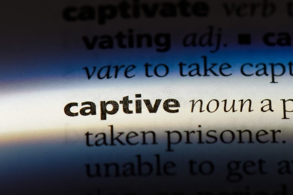Captive stock image. Image of concept, closeup, isolated - 114405811