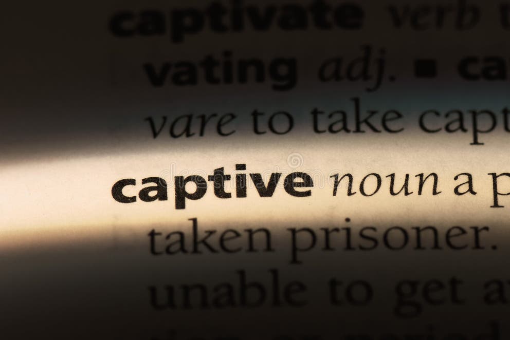 Captive stock image. Image of book, page, dictionary - 114411689