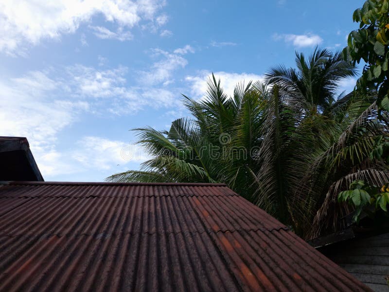 Capture the Beauty of the Sky from a Unique Perspective: a Rooftop View ...