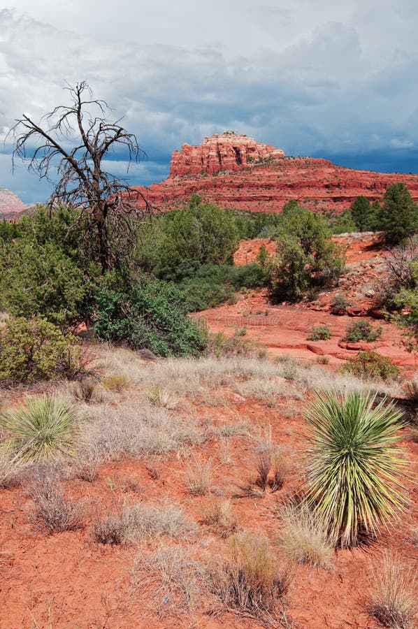 Capture of Breathtaking Nature Scenic Landscape Stock Image - Image of ...