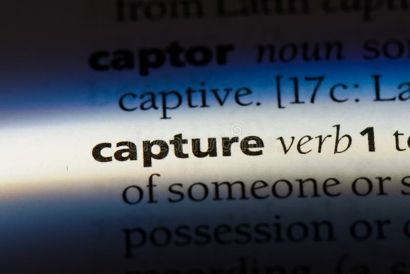 Capture stock image. Image of printed, writing, page - 114405677