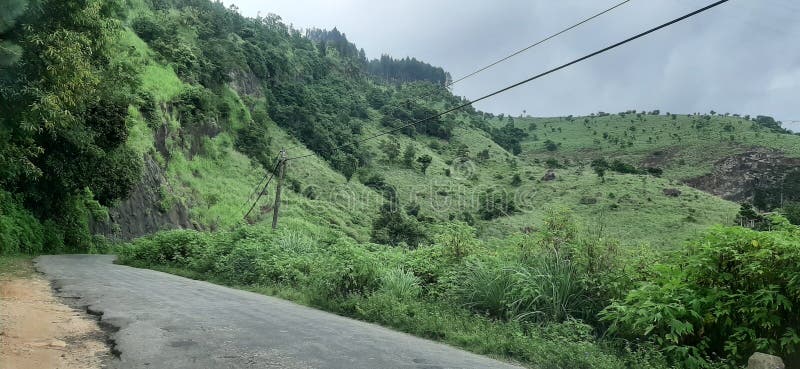 Galaha Stock Photos - Free & Royalty-Free Stock Photos from Dreamstime