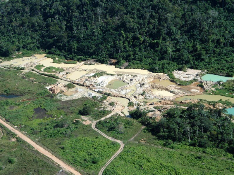 Illegal Gold Mining Ravaging the Amazon: Aerial View of Environmental ...
