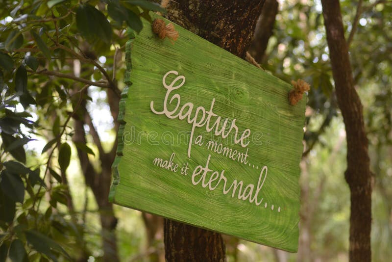 Capture a Moment Make it Eternal Stock Image - Image of sign, forest ...