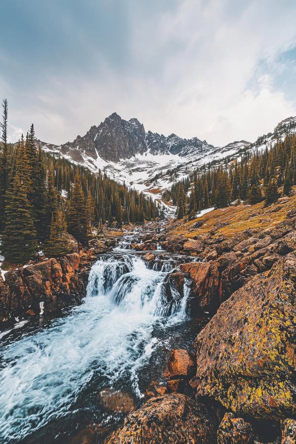 Capture Mountain Stream Flows among Forest with Snowy Mountain Peak ...