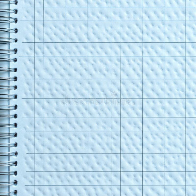 Capture Notes on Squared Paper for Planning and Organization Plus Grid ...