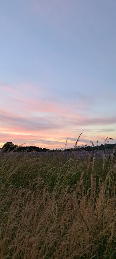 Capture the sunset stock photo. Image of reflection - 227872284