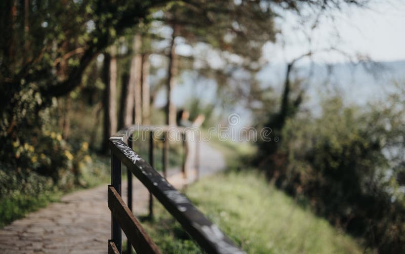 Scenic Park Pathway Offering a Peaceful, Natural Escape by the Lake ...