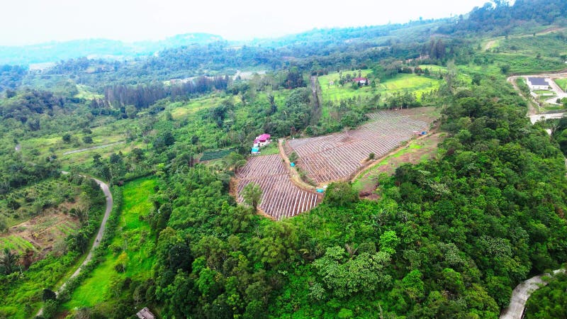 Captured from an Elevated Perspective, the Captivating Aerial Footage ...