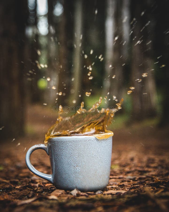 Splash of Coffee in the Forest Stock Photo - Image of moment, coffee ...