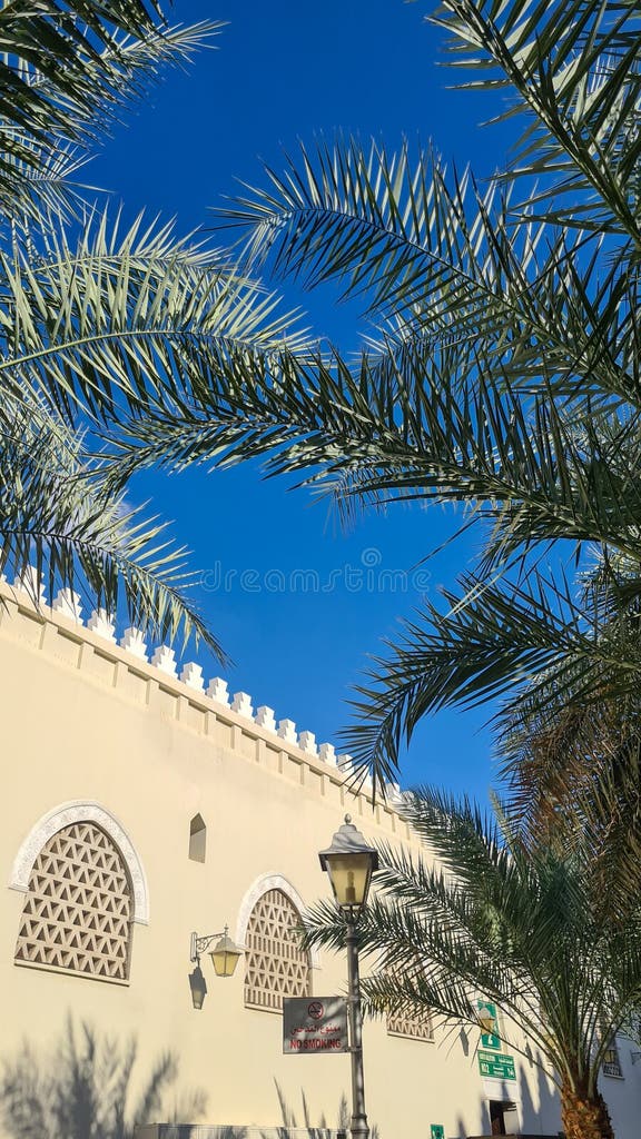 Captured Some Dates Tree in Bir Ali Mosque Stock Photo - Image of blue ...