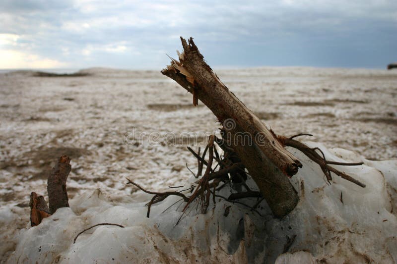 Captured In Time Picture. Image: 1370