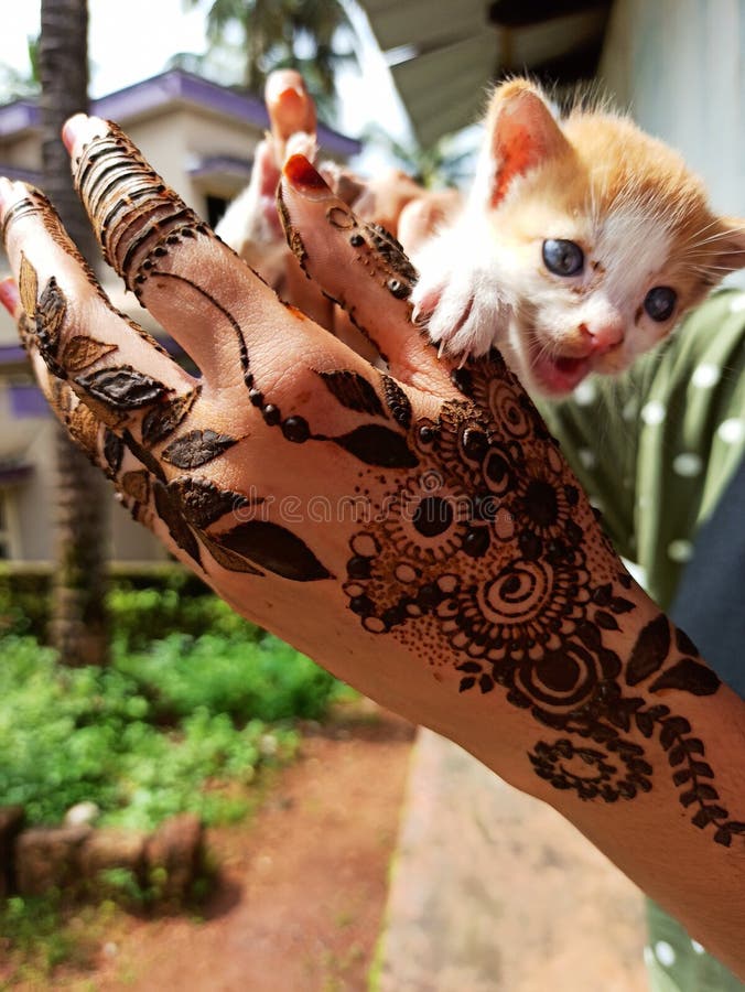 Back hand design stock image. Image of mammal, wildlife - 255967939