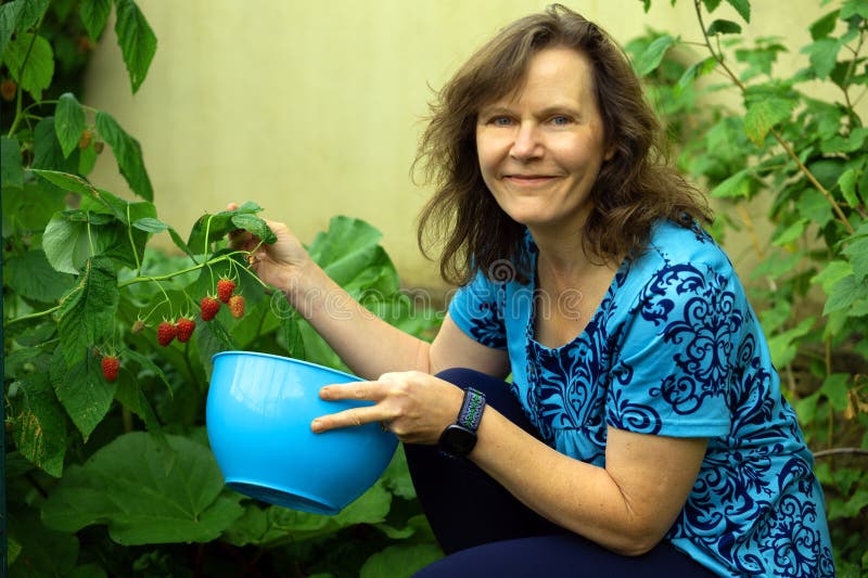 Adele Picking Raspberries in July, 2024. Stock Photo - Image of doncaster, botany: 325293214