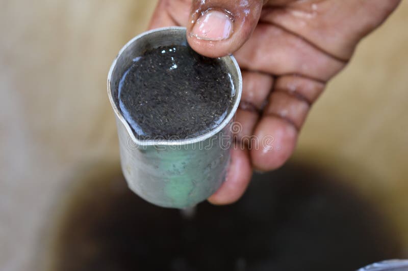 Close Up of Fish Spawns Collected in a Silver Beaker Stock Image ...