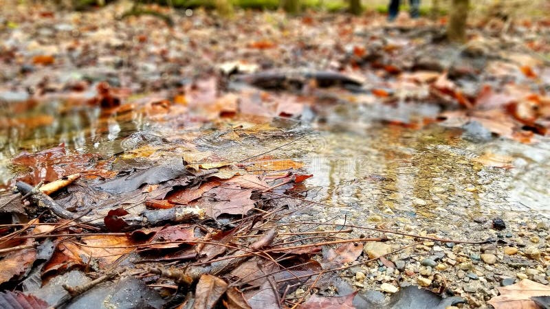 Capturing the Flow of Fall Springs Stock Image - Image of flow, little ...