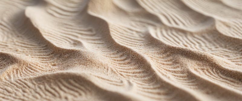 Capturing the Intricate Sandy Texture in High Resolution Stock Photo ...
