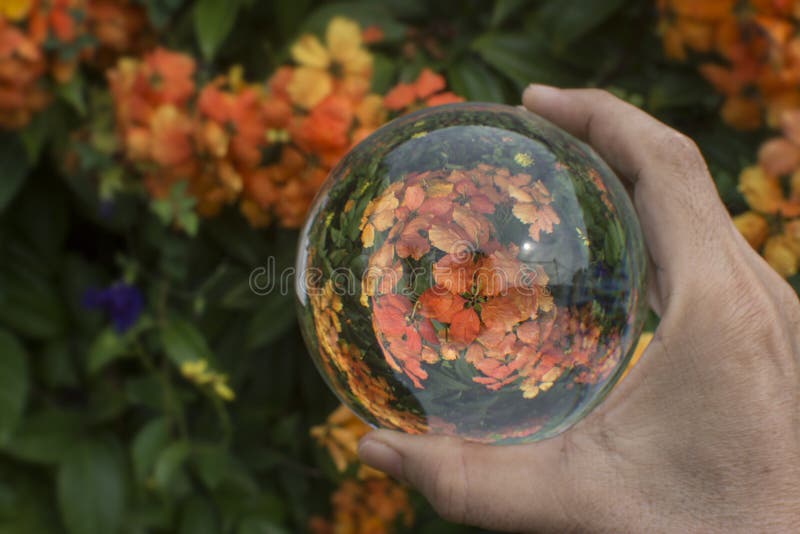 Capturing Objects or Scenes Photography through Crystal Ball Refraction ...